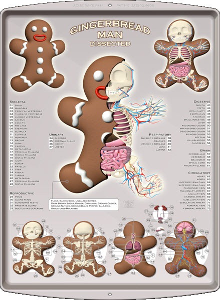 Anatomical Cartoon Characters by Jason Freeny | Amusing Planet